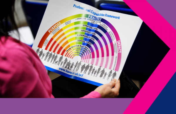 About The Professional Capabilities Framework Pcf Basw