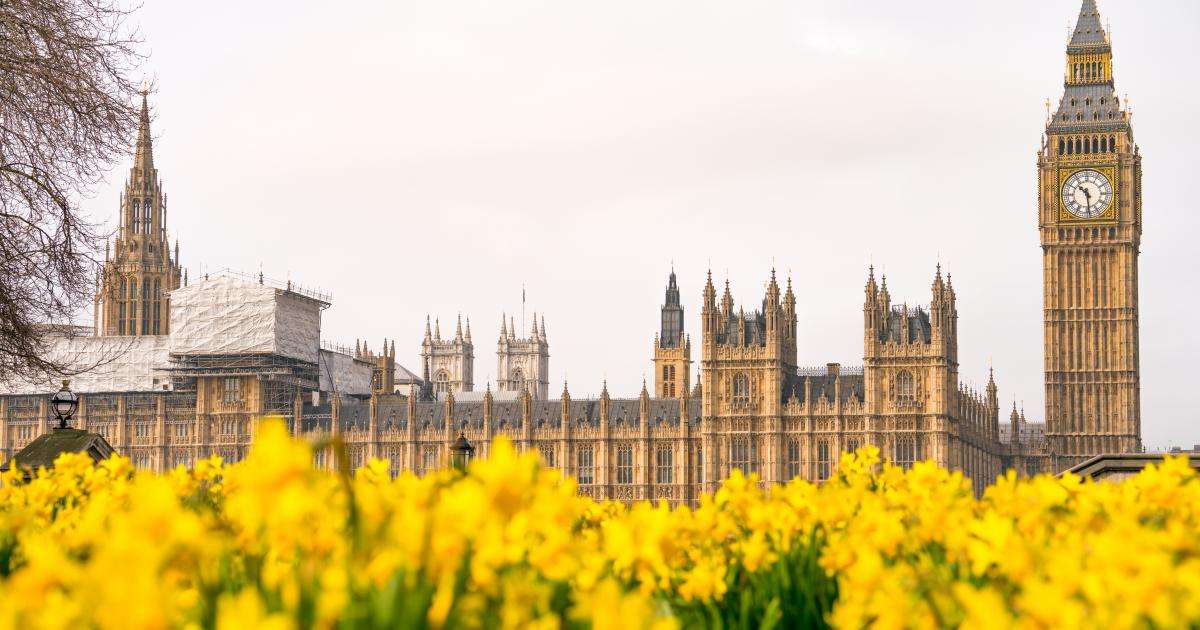 Spring Statement 2025 | BASW